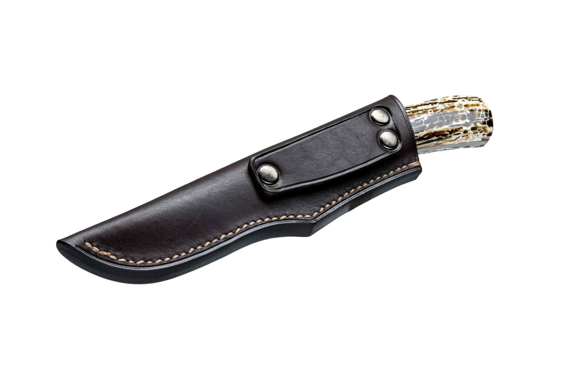 Knife of the Year 2024 “Oshipa” I Sauer